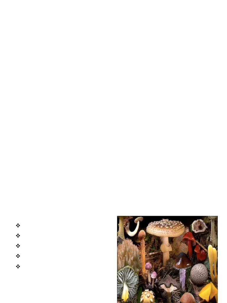 Overview of Fungi: Types and Importance | PDF