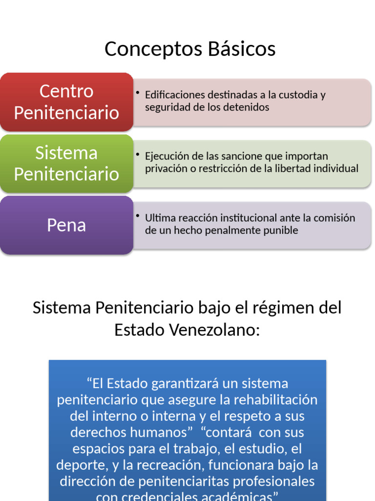 Conceptos Básicos | PDF