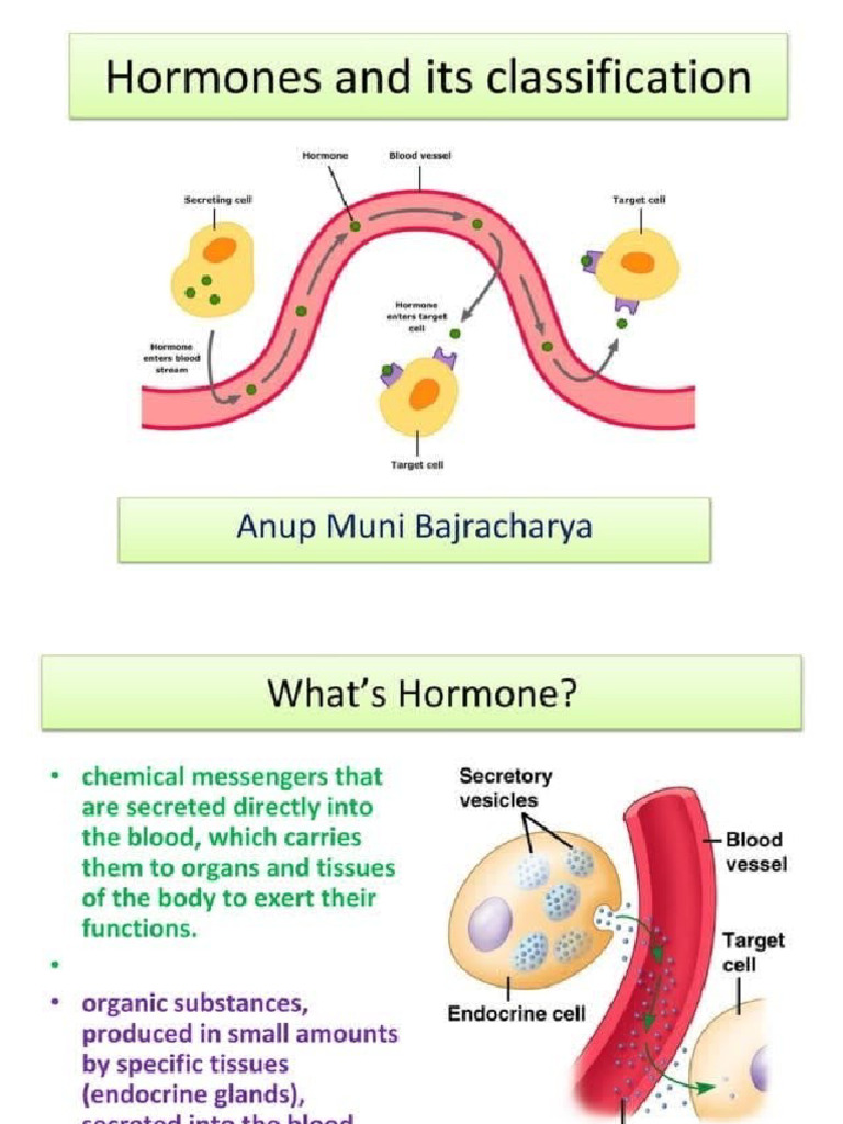 Hormones and Its Classification PDF | PDF