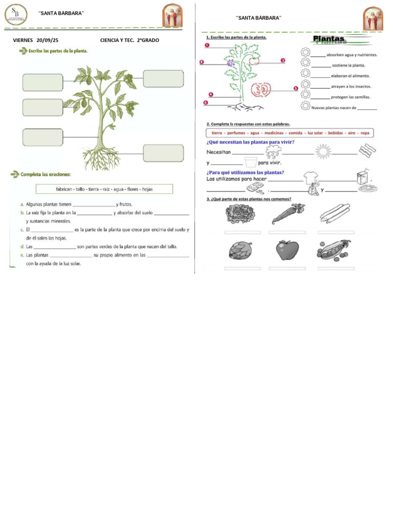 Ficha de Ciencia y Tec. 20-09-25 | PDF