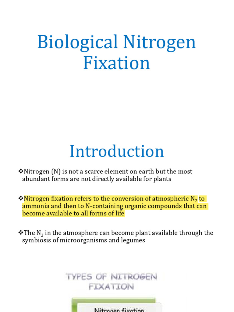 Nitrogen Fixation | PDF