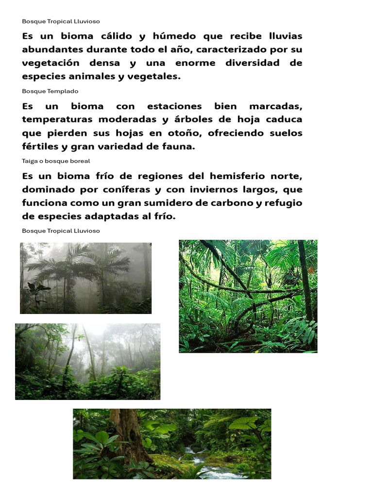 Biomas: Bosques Tropicales y Templados | PDF