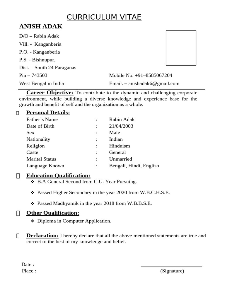 Anish Adak CV | PDF