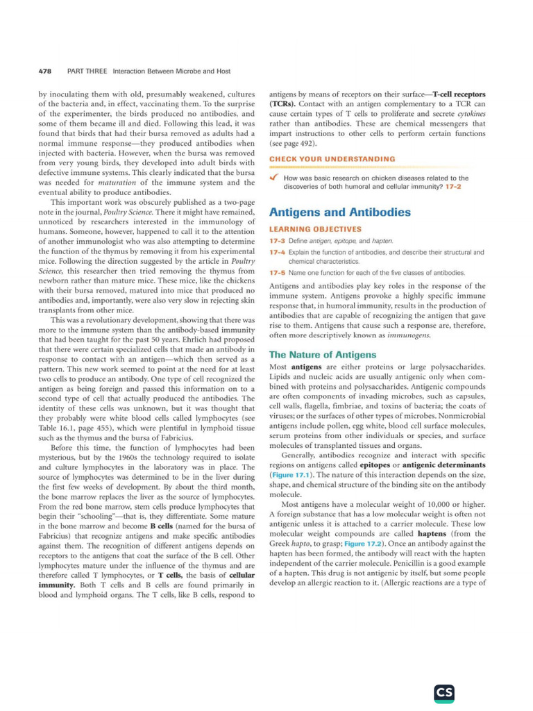 Adaptive Immunity | PDF