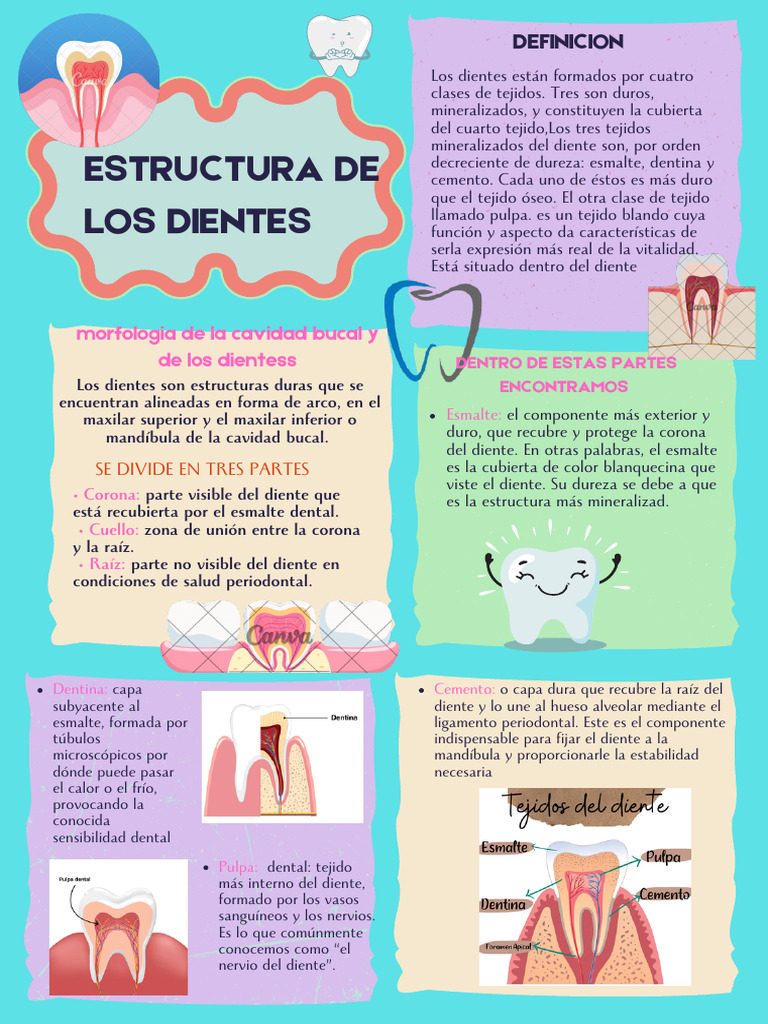 Documento Monografia Del Ajolote Ilustrado Colores Pastel - 20230913 ...