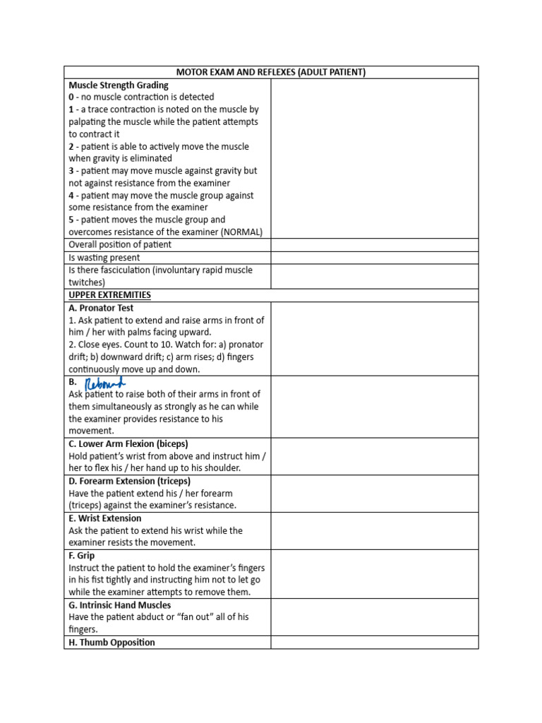 Motor Strength and Reflex Grading Guide | PDF | Anatomical Terms Of ...