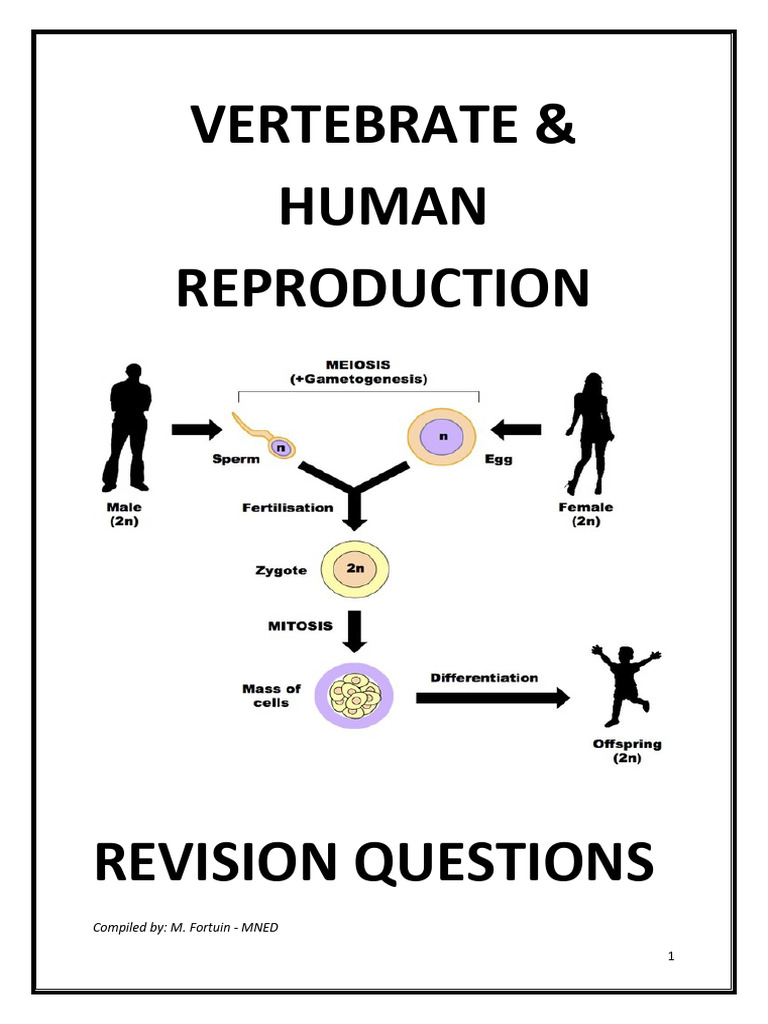 4vertebrate and Human Reproduction Eng | PDF | Fertilisation ...