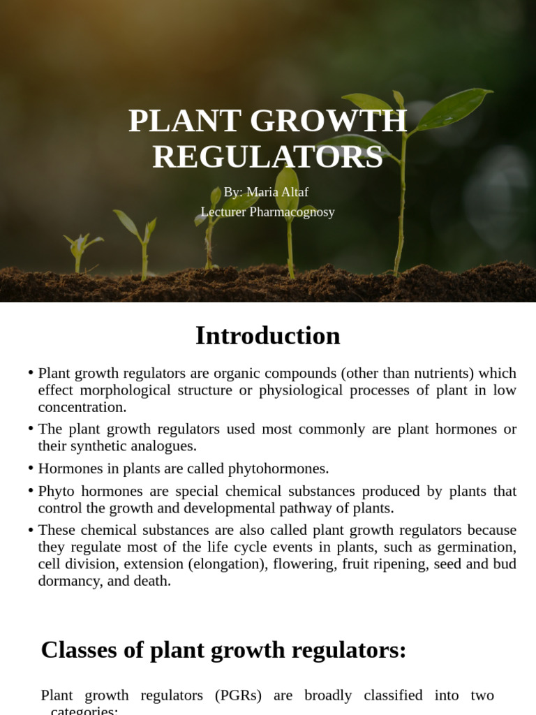 Plant Growth Regulators | PDF | Plant Hormone | Auxin
