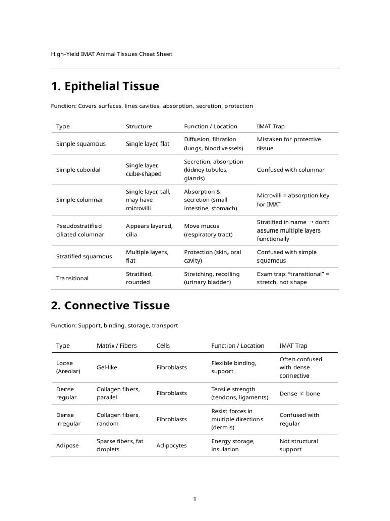 IMAT Animal Tissues Study Guide | PDF | Epithelium | Tissue (Biology)