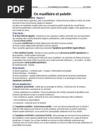 Anatomie des Os du Visage Humain | PDF | Anatomie humaine | Appareil ...