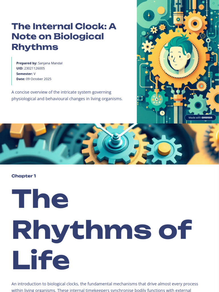 Understanding Biological Rhythms | PDF | Circadian Rhythm | Sleep