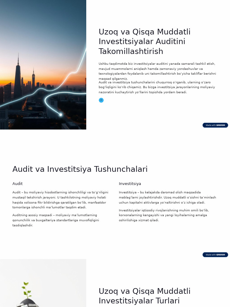 Uzoq Va Qisqa Muddatli Investitsiyalar Auditini Takomillashtirish | PDF