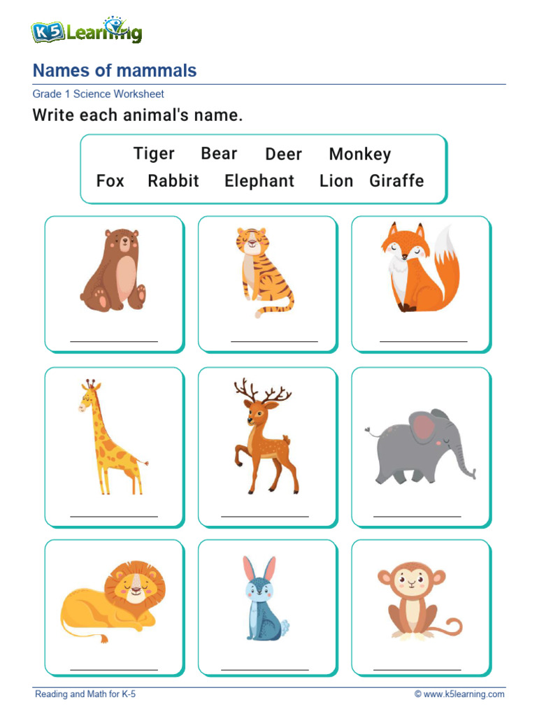 Animal Names | PDF