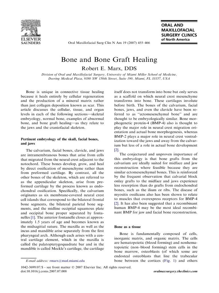 Bone Graft Healing and Regeneration | PDF | Bone | Osteoblast