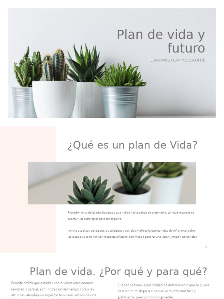 Plan de Vida y Futuro SCRIBBED | PDF | Sicología | Adultos