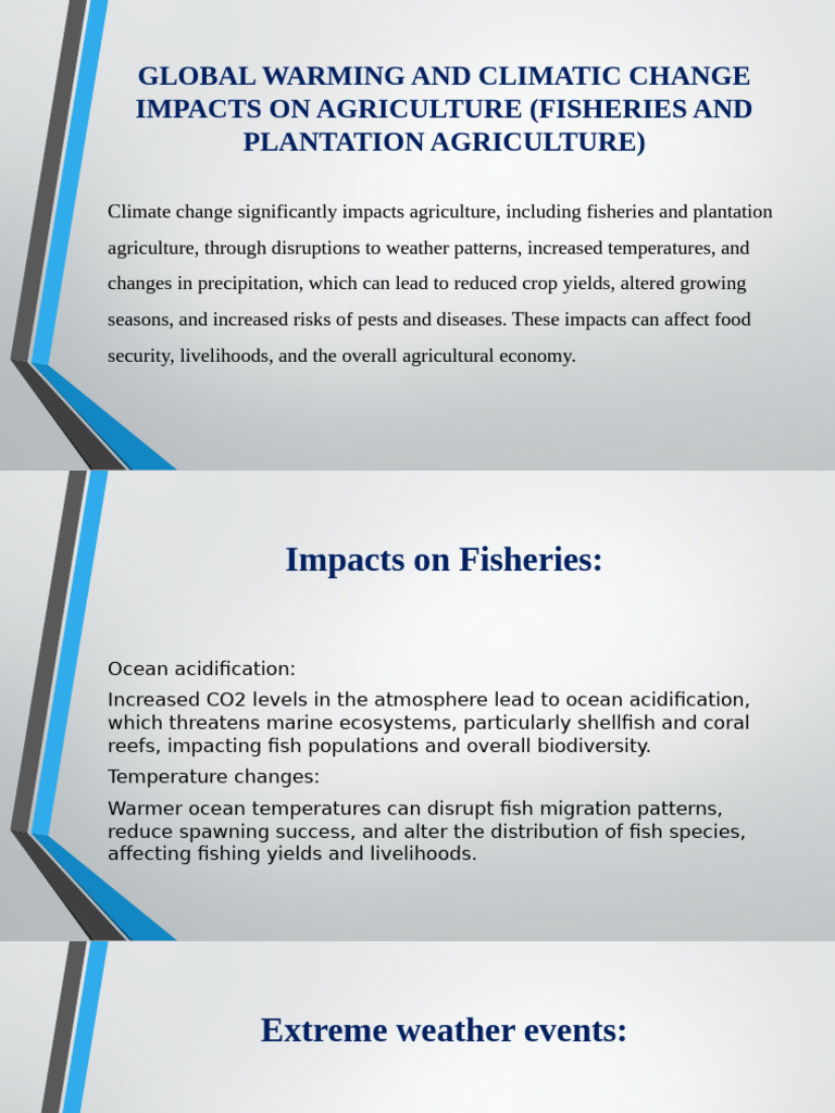 Global Warming and Climatic Change Impacts On Agriculture Assignment ...