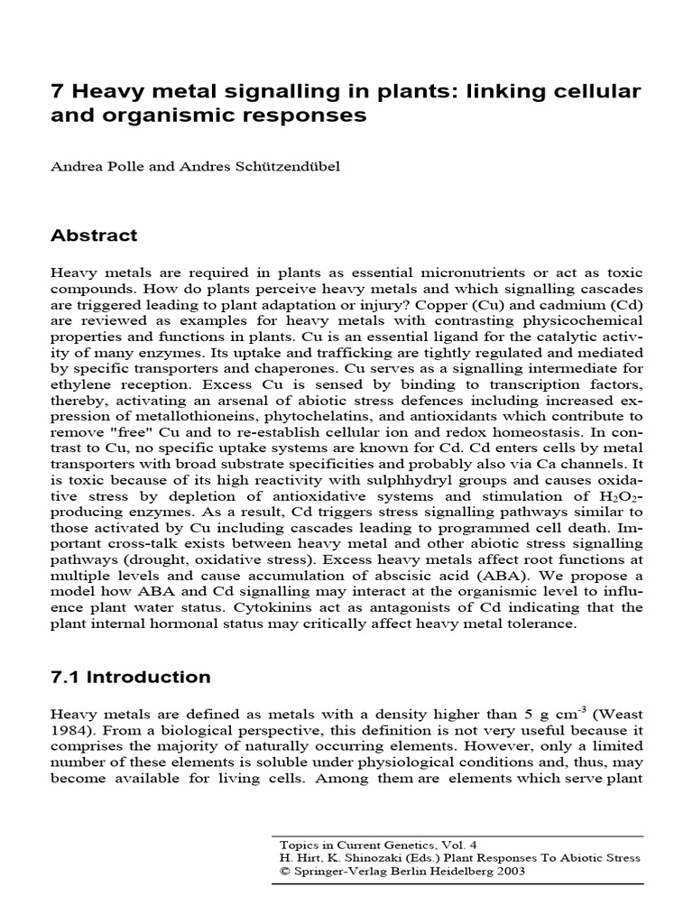Heavy Metal Signaling in Plants | PDF | Cell Signaling | Glutathione S ...