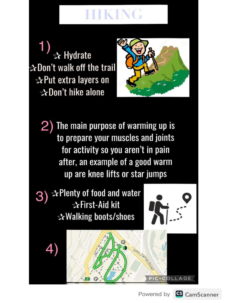 LO PET TASK Term 3 | PDF