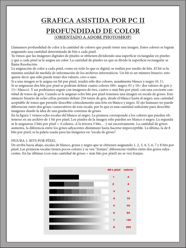 Profundidad de Color y Formatos de Archivos Teoria | PDF | Formato de ...