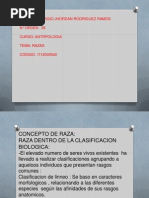 Tipos de Razas Humanas o Etnias | PDF | Raza (categorización humana ...