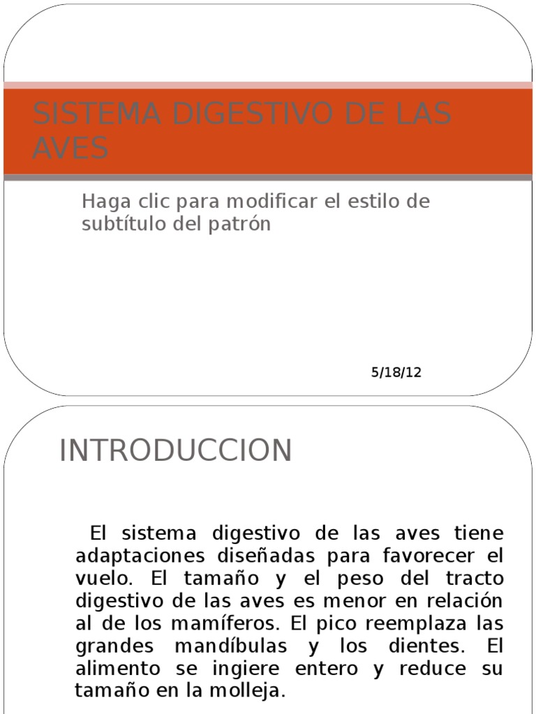 Sistema Digestivo de Las Aves | PDF | Digestión | Sistema digestivo humano