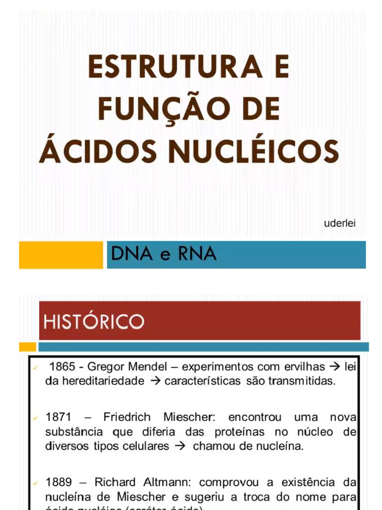 1 - Estrutura e funcÌ§aÌ o dos aÌ cidos nucleÌ_250403_092732 | PDF