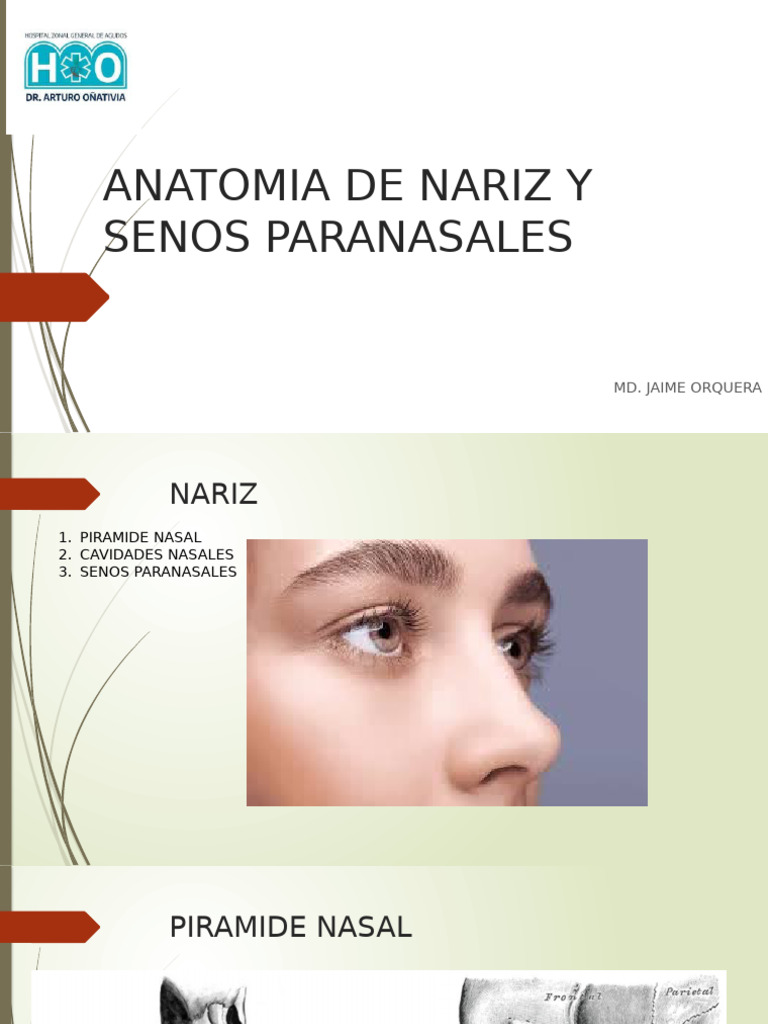 Anatomia de Nariz y Senos Paranasales | PDF