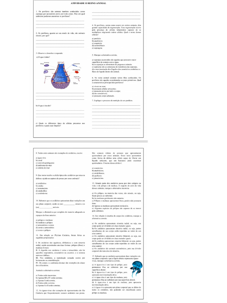Atv Biologia 2 Reino Animal | PDF