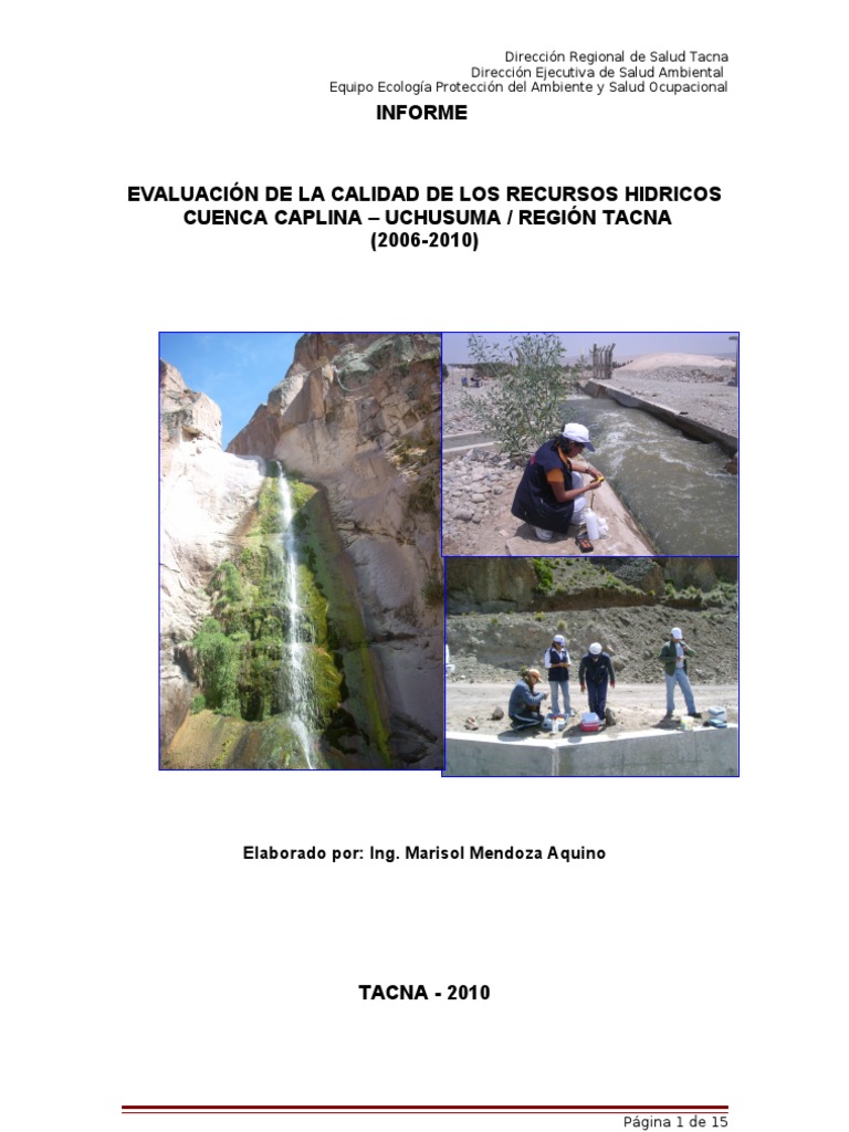 Informe 2006-2010 Cuenca Caplina - Uchusuma | PDF | Átomos | Química