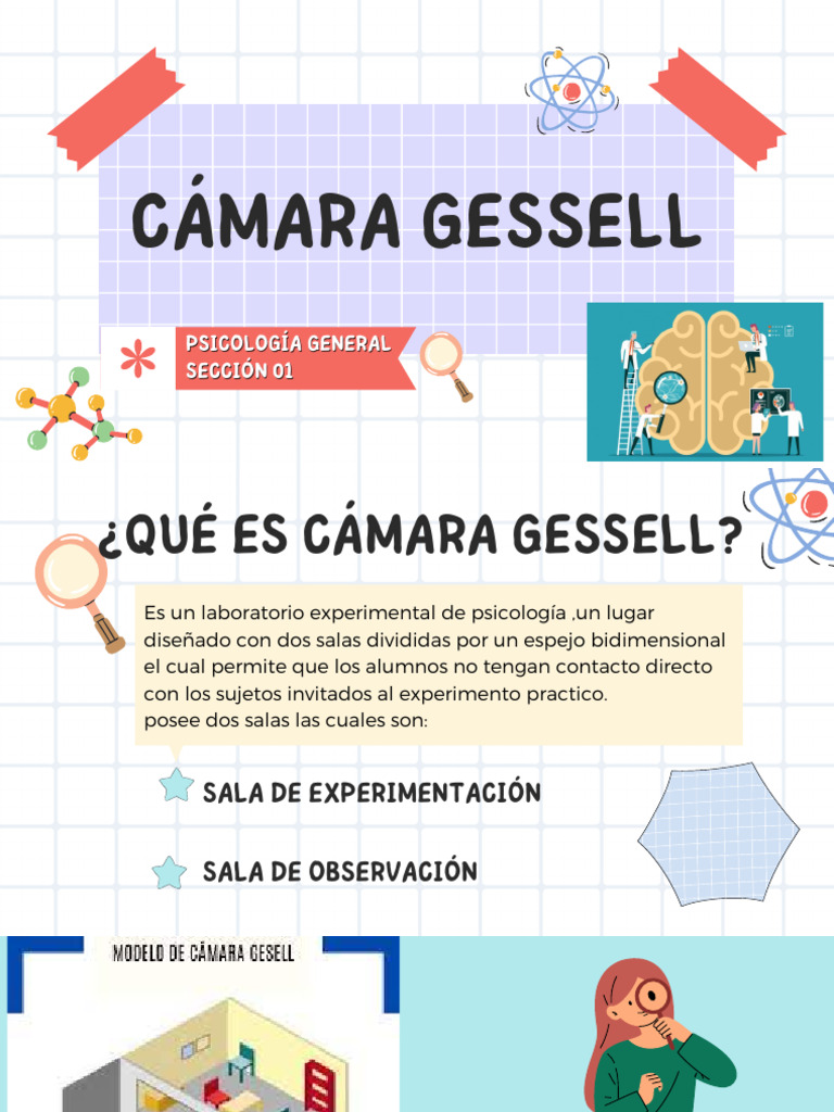 Camara Gessell | PDF