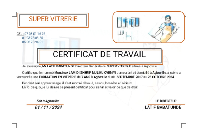 Formation de Lamidi - Phoenix | PDF