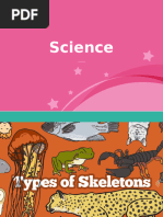 Function of Fish Nares Explained | PDF | Olfaction | Fish