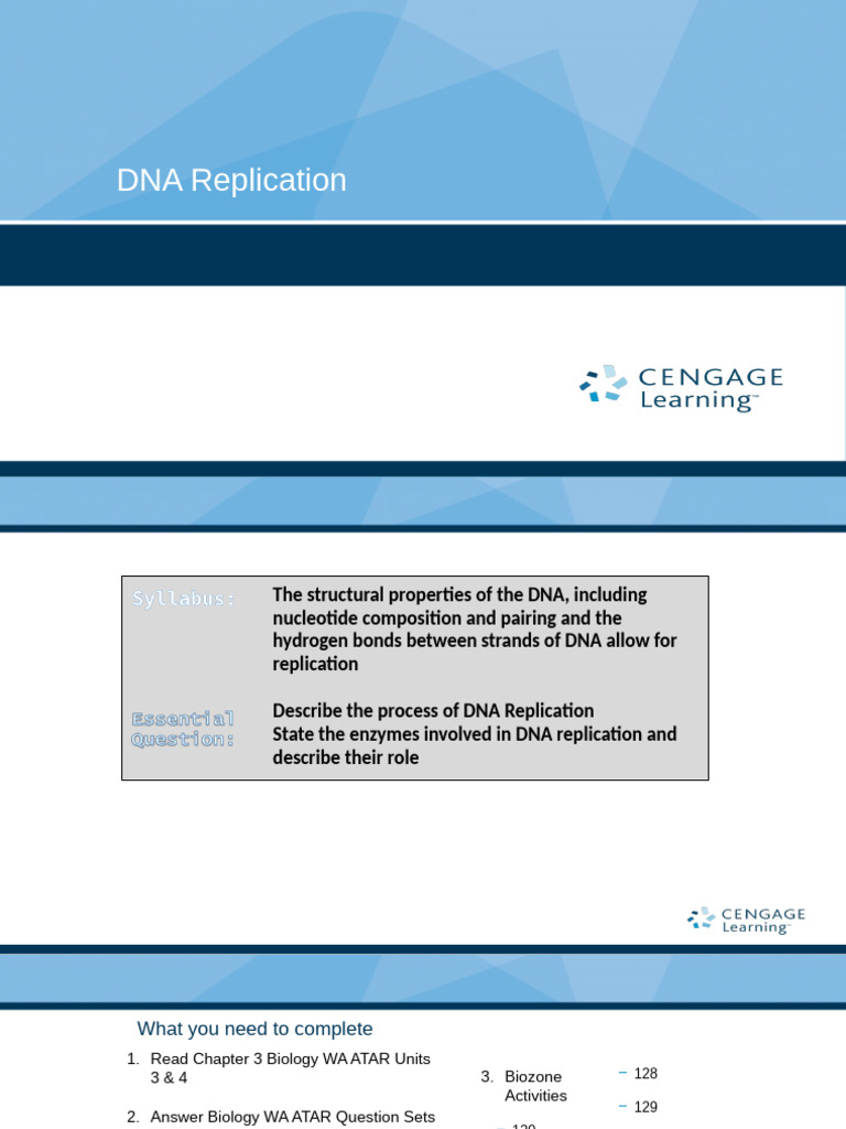 DNA Replication Student | PDF | Dna Replication | Dna