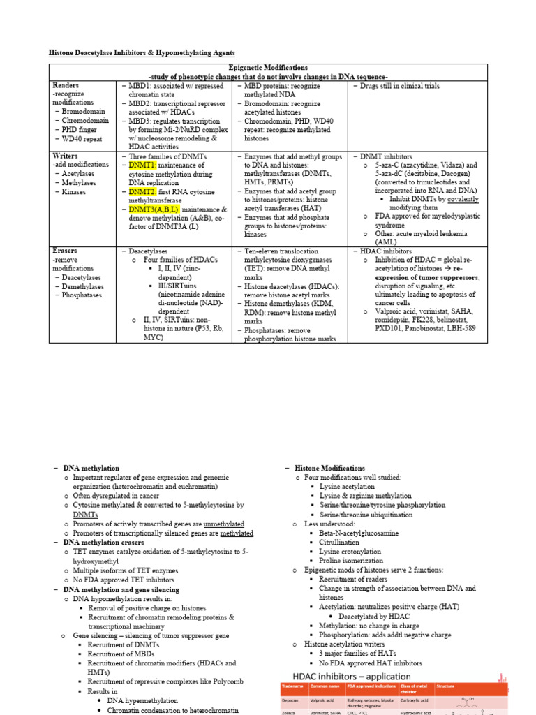 509 Exam II drug charts | PDF | Histone | Chromatin