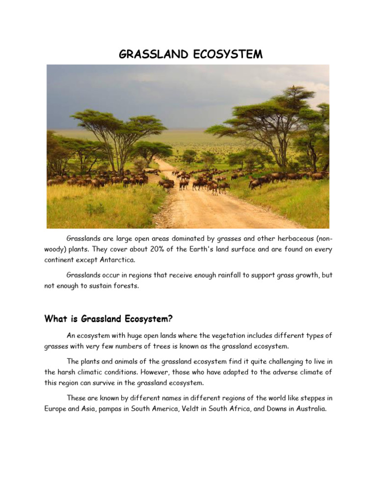 Grassland Ecosystem Overview and Types | PDF | Grassland | Tropics