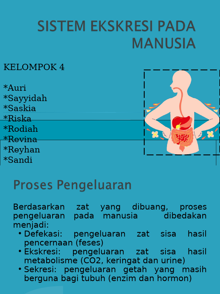 Sistem Ekskresi Manusia - PPT 20250918 092052 0000 | PDF