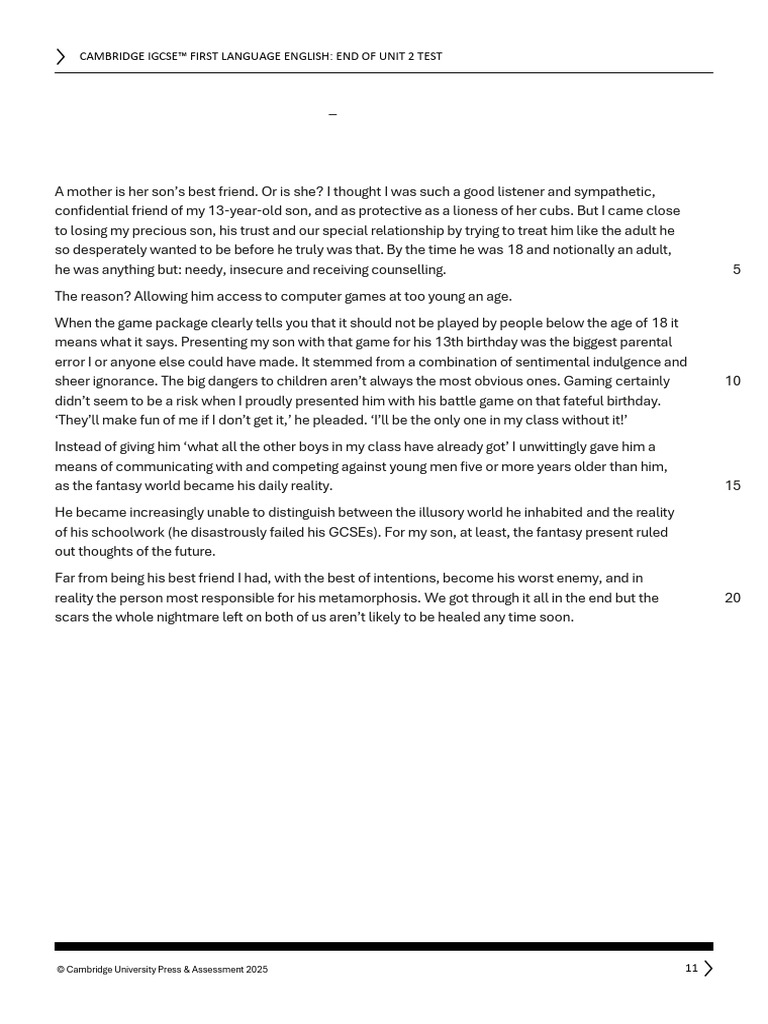 Unit 2, Text D, End of Unit Test IGCSE FLE | PDF