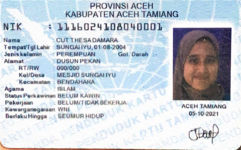 KTP - Cut Thesa Damara | PDF