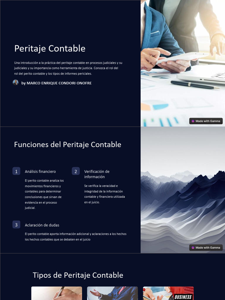 Peritaje Contable en Procesos Judiciales | PDF | Contabilidad | Testigo ...