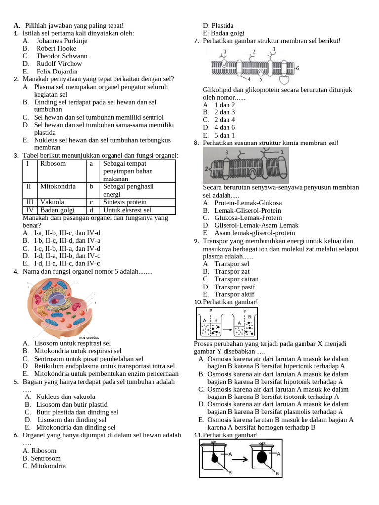 Soal UH 1 Struktur Dan Transport Sel | PDF