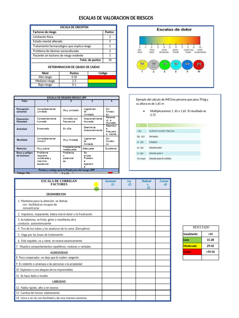 Escalas De Evaluación De Riesgos En Salud Pdf Especialidades