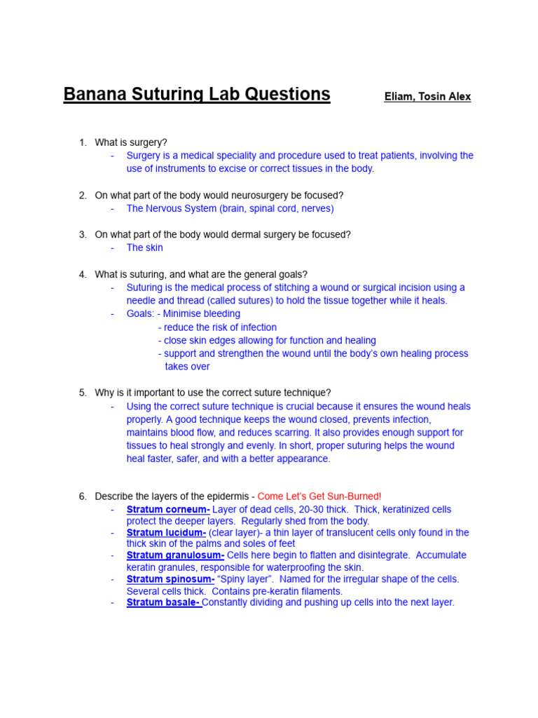Banana Suturing Lab Questions | PDF | Skin | Epithelium