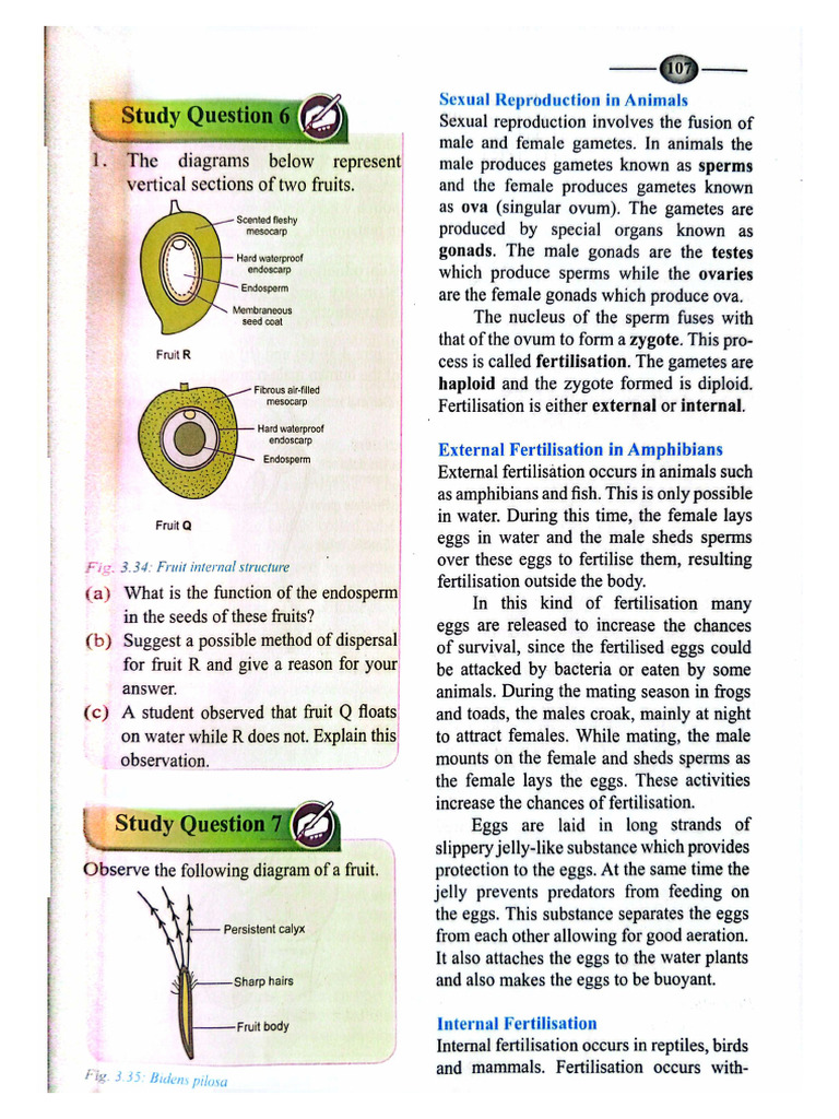 Reproduction KLB Form Three For Secondary Schools | PDF