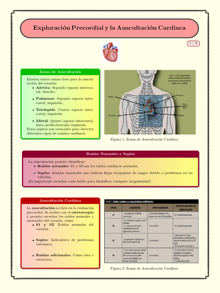 Auscultación Cardiaca y Exploración Precordial | PDF | Tórax (anatomía ...