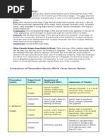 Malaria Parasite Identification Guide | PDF | Malaria | Parasitology