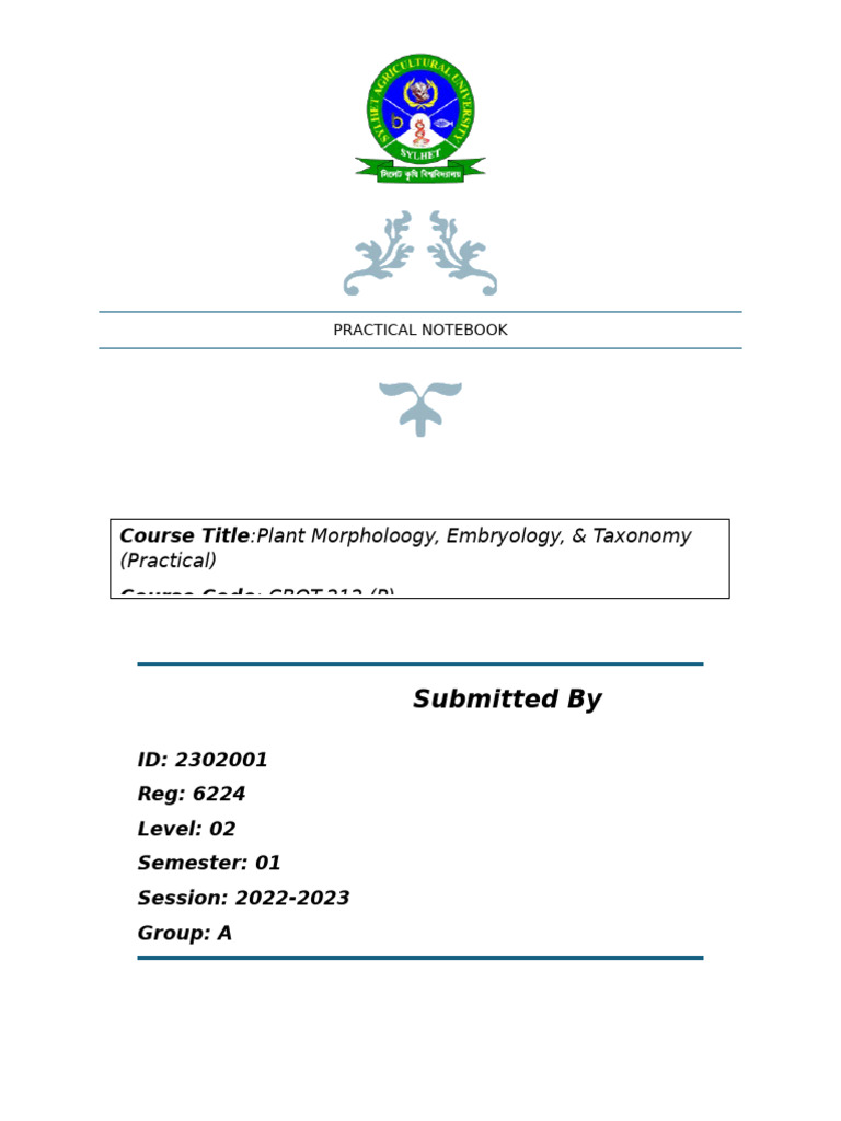 Practical Cover Page L-2, S-1 | PDF