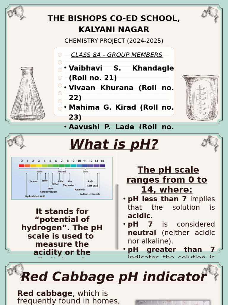 Chemistry Project 8A 2 | PDF | Ph | Acid