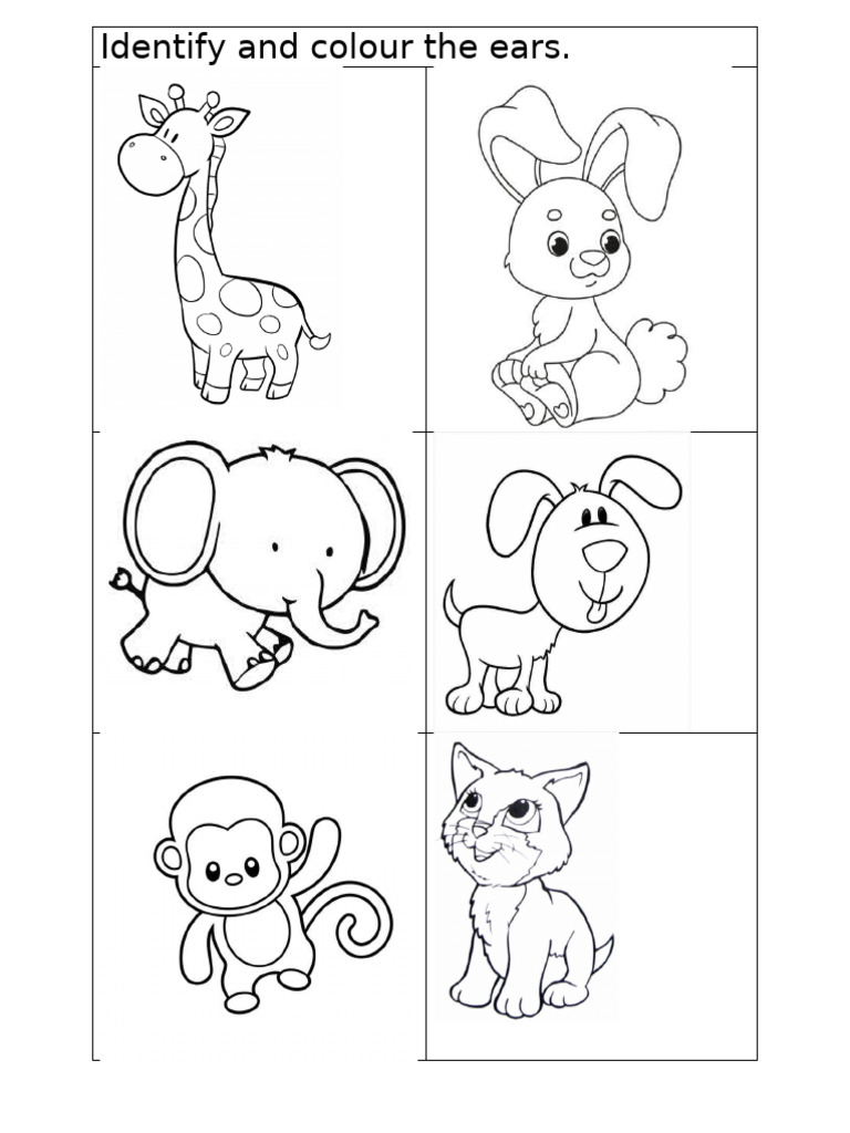 Ears Worksheet | PDF