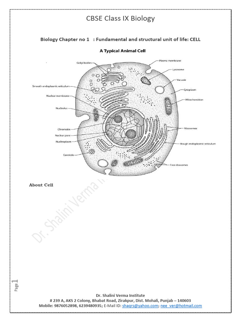 Chapter No1 Fundamental and Structural Unit of Life Cell | PDF | Cell ...