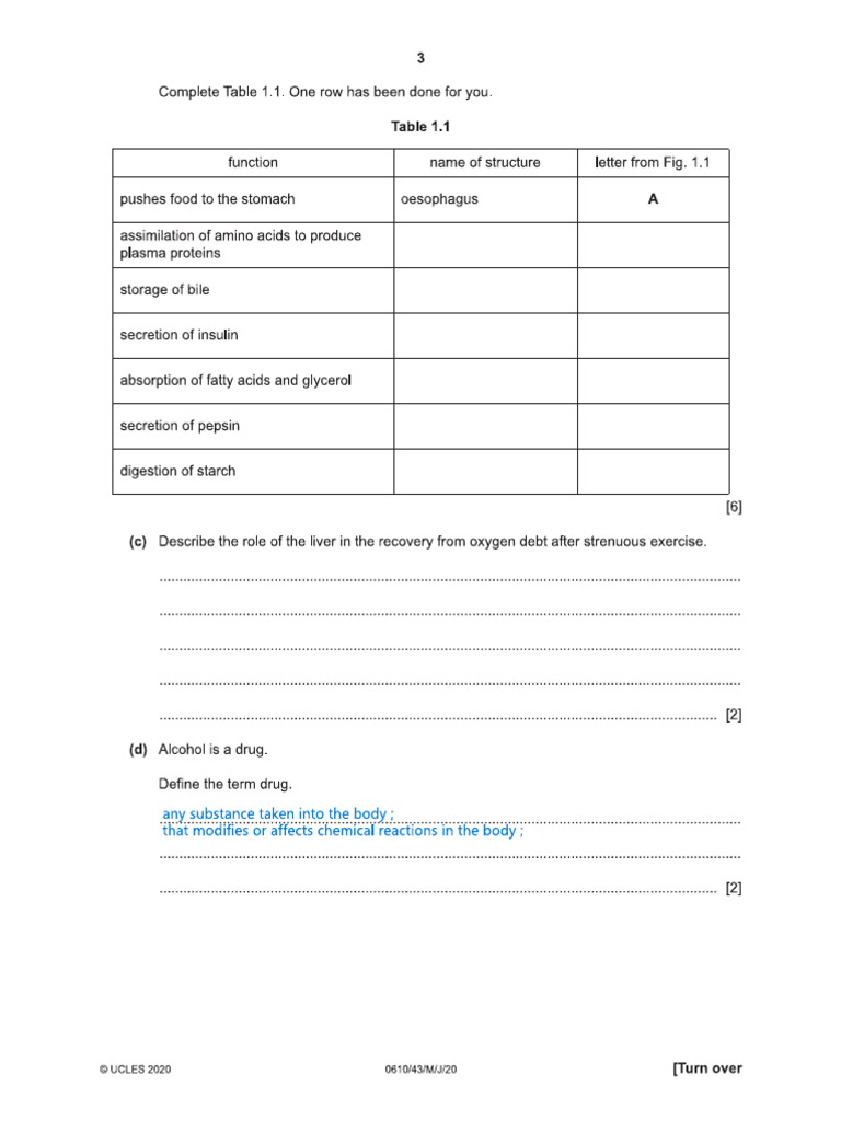 Oe 2020 | PDF